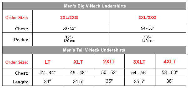 Hanes Shirt Sizes